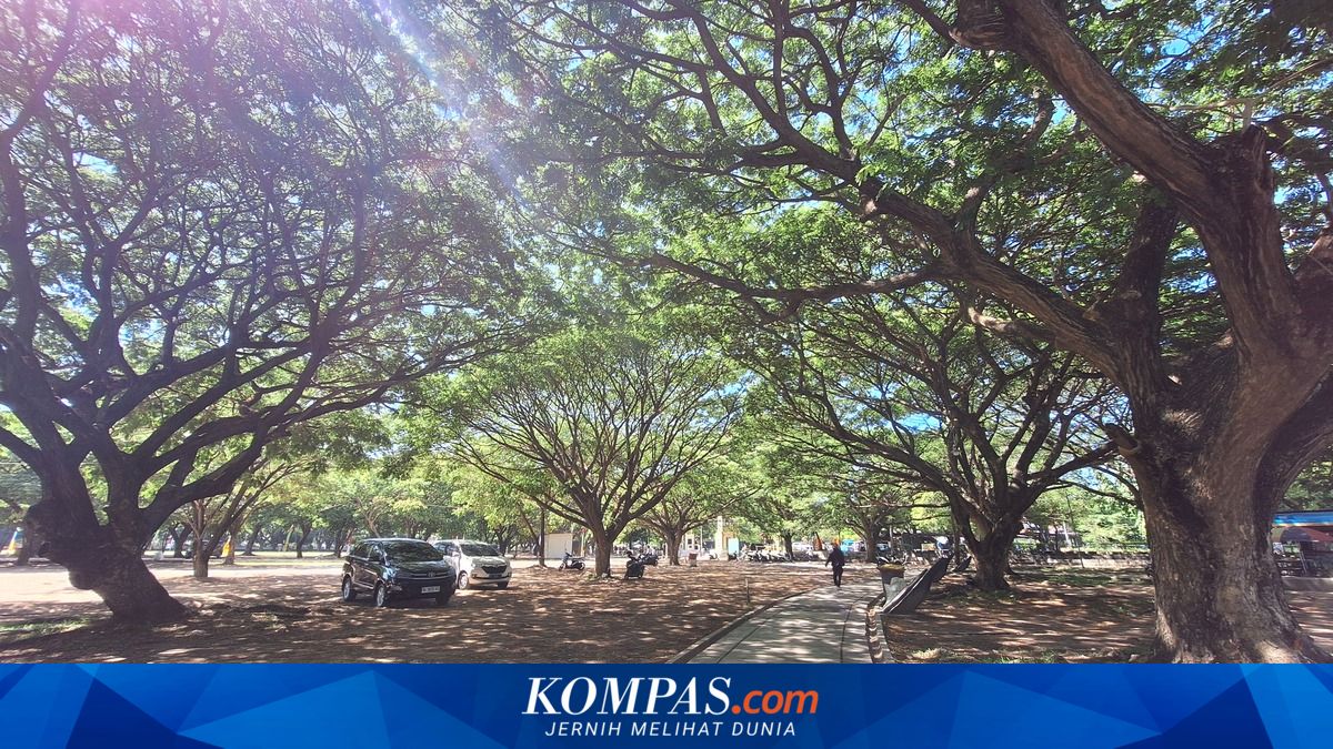 Melihat Blang Padang, Tanah Wakaf Masjid Baiturrahman yang Dikelola TNI