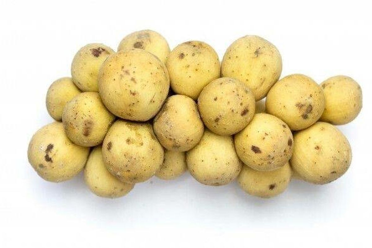 Sering Dikira Buah Duku, Ini 7 Manfaat Buah Langsat yang Jarang Diketahui