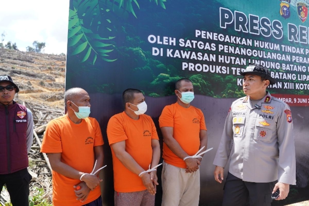 Kerusakan Hutan di Kampar dan Ketegasan Kapolda Riau Tindak Perambah