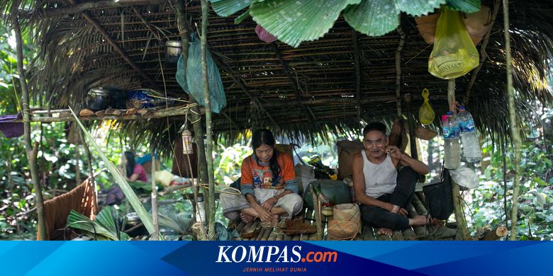 Pemburu dan Peramu Terakhir di Kalimantan Perlu Peningkatan Layanan ...