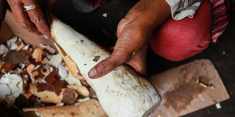 Kulit Singkong Bisa Jadi Pakan Ternak, Ini Cara Membuatnya