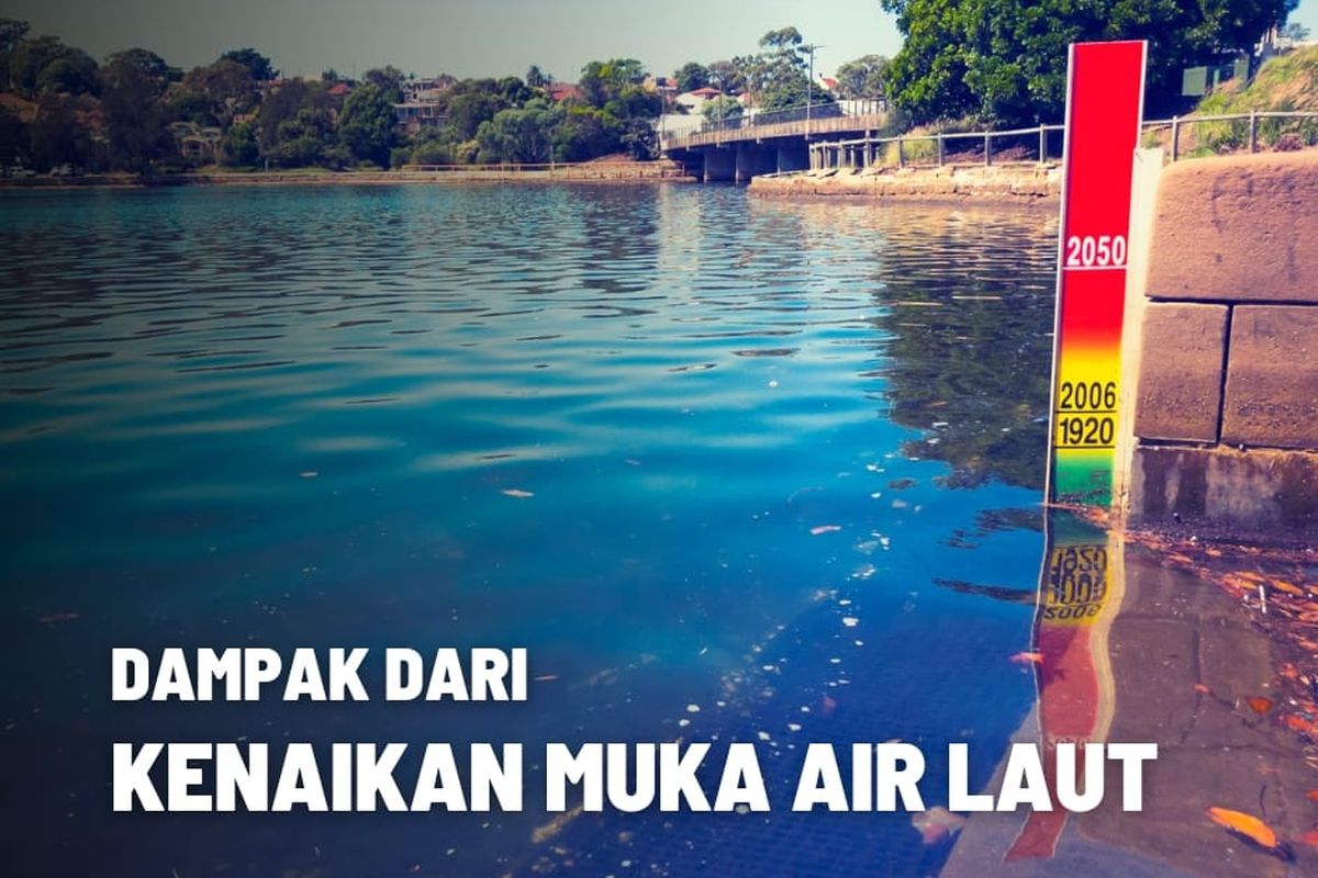 Dampak dari Kenaikan Permukaan Air Laut