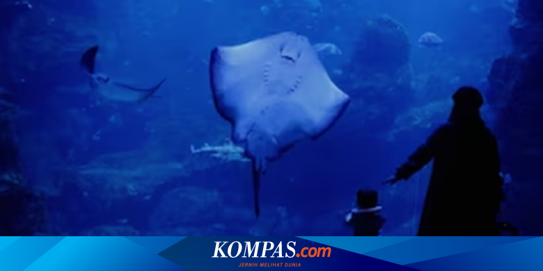 BXSea Bintaro: Harga Tiket Masuk dan Wahananya