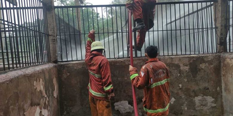 Berita Harian 9 Kuda Mati Terpanggang Terbaru Hari Ini - Kompas.com