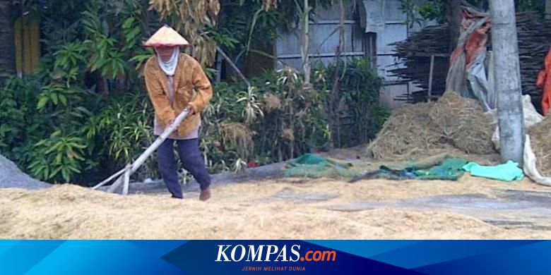 Petani Didorong Manfaatkan Sistem Resi Gudang, Untuk Apa?