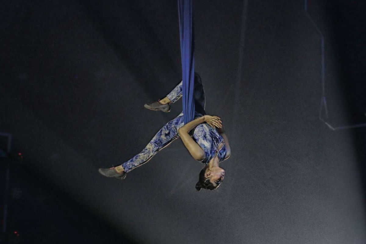 Taman Safari Bantah Terkait Sirkus OCI: Kami Berdiri secara Independen