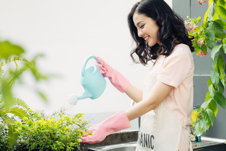 Menyiram Tanaman Pakai Air Garam, Apakah Aman?