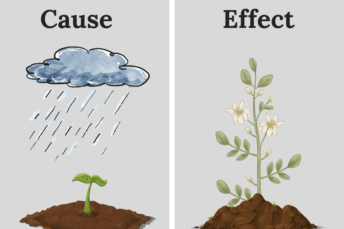 Cause and Effect: Karakteristik, Fungsi, dan Contoh