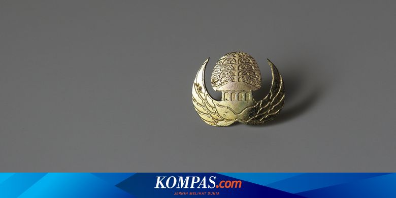 Catat, Ini Kriteria Pelamar PPPK 2024
