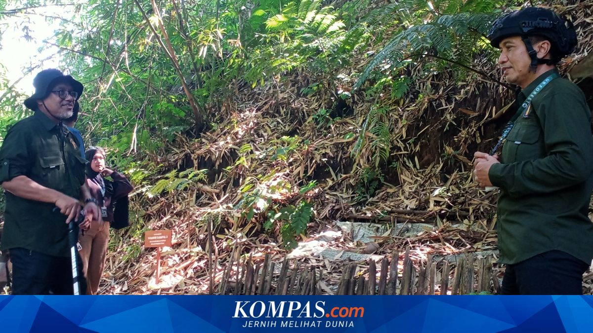 Jelajah Hutan UB Forest Malang, Wisata di Lereng Gunung Arjuno