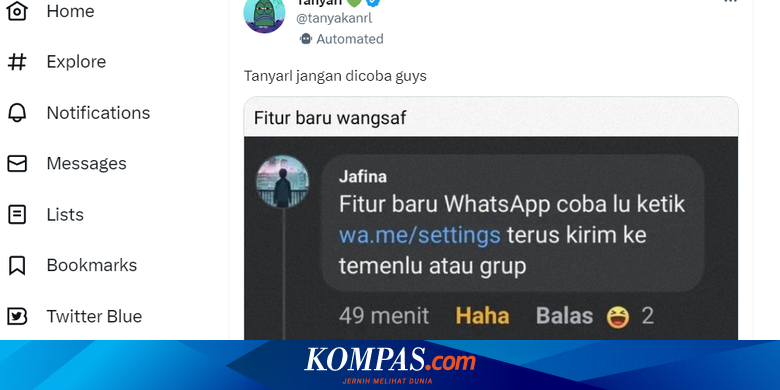 Ramai soal Link "wa.me/settings" Disebut Bikin WhatsApp Eror, Apa ...