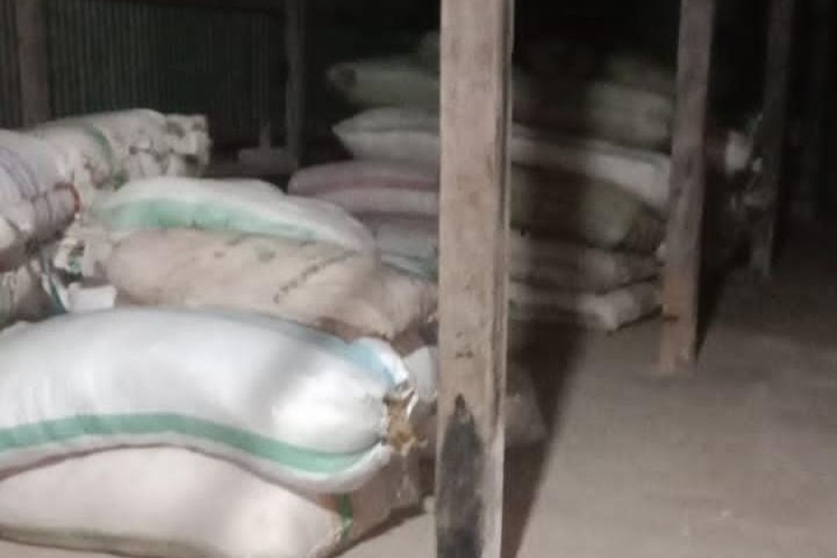 Terkendala Pergub, Puluhan Ton Rumput Laut di Lembata Tak Terjual ...