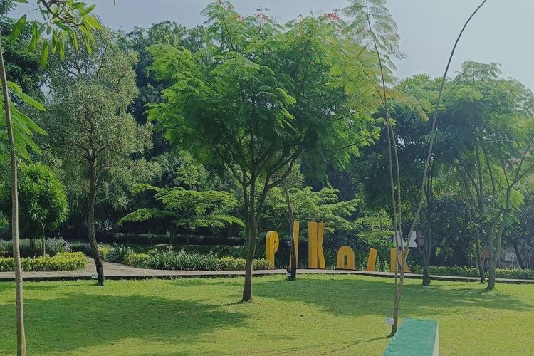 Foto : "Cuci Mata" Melihat Hamparan Rumput Hijau dan Pohon di Taman ...