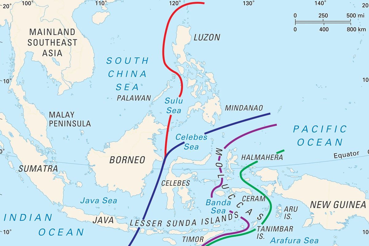 Mengenal Garis Wallace dan Weber, Batas Imajiner yang Membagi Wilayah ...