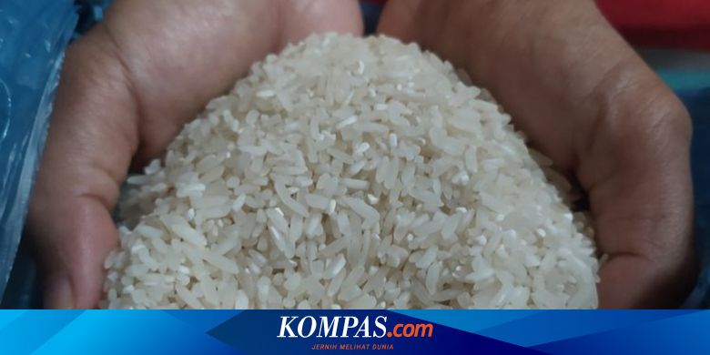 3 Penyebab Harga Beras Mahal Menurut Pemerintah, Ada Faktor Iklim