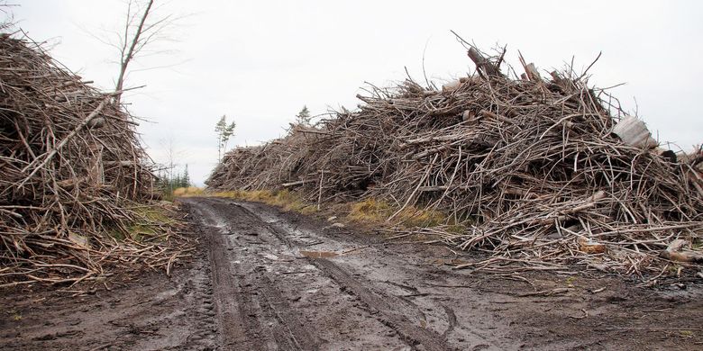 Keadaan Bumi Saat Ini