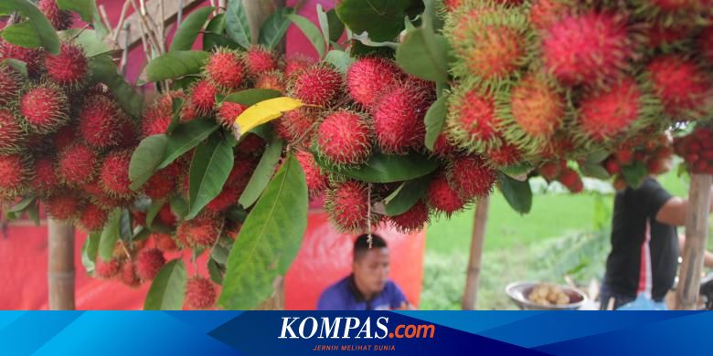 Cara Pilih Rambutan Manis, Jangan Tertipu Warna Merah