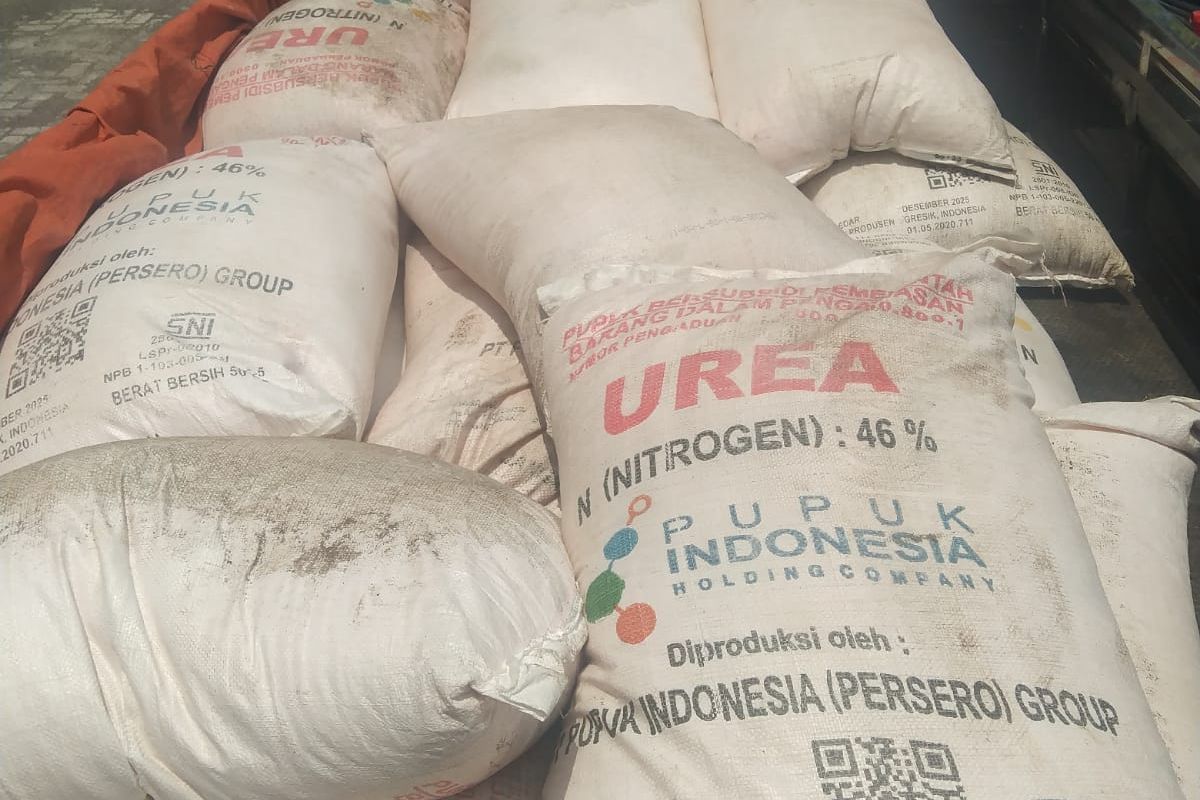 Apa Itu Pupuk Urea? Berikut Fungsi dan Manfaatnya bagi Tanaman