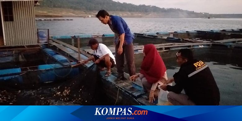 Berita Harian Cuaca Ekstrem Wonosobo Terbaru Hari Ini - Kompas.com