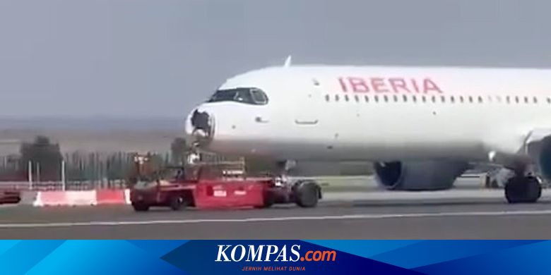 Moncong Iberia Menganga Besar, Bukti Bahayanya Pesawat Tabrak Burung