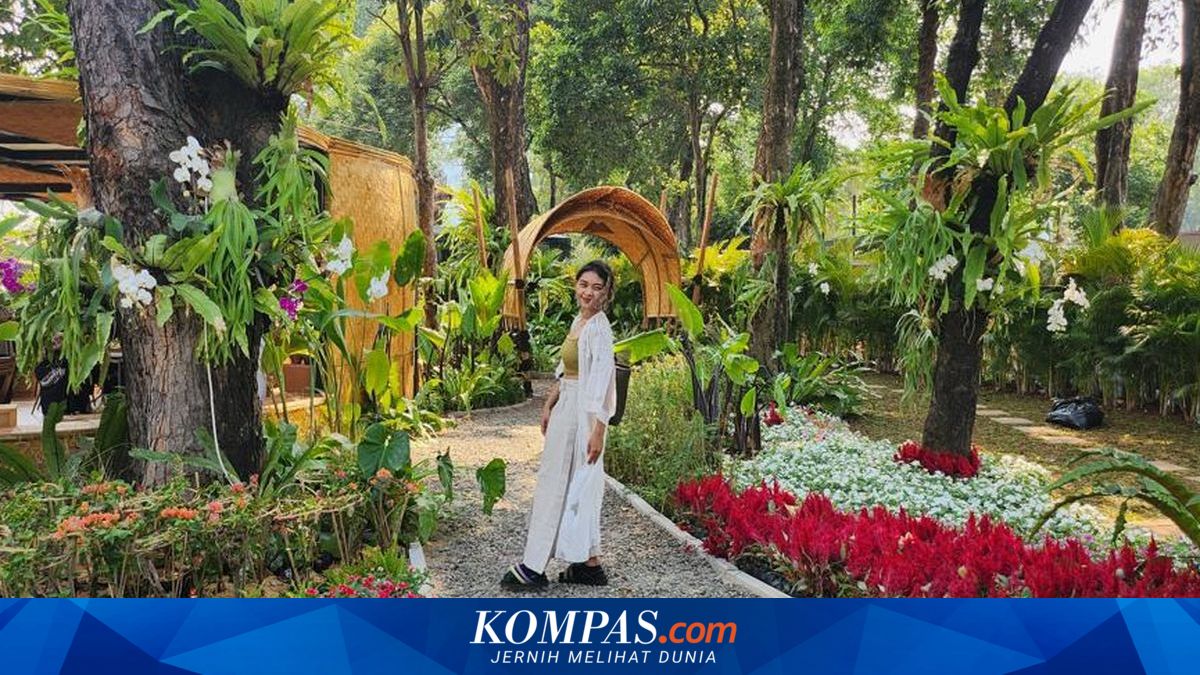 Cara ke Pameran Flona 2025 Naik Transjakarta, Turun Di Mana?