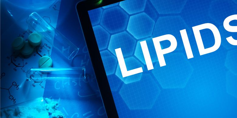 Pengertian Lipid, Fungsi, beserta Contohnya