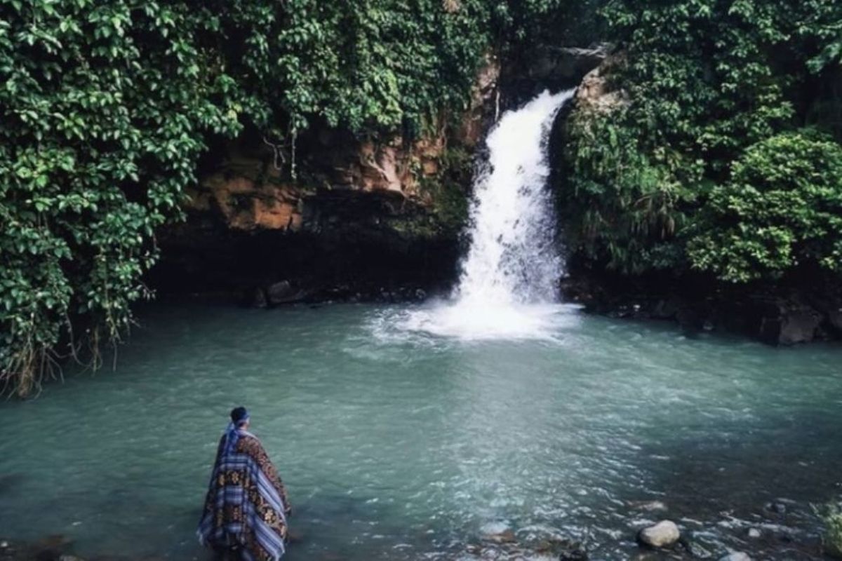 Curug Goong di TN Gunung Gede Pangrango, Punya Dinding yang Mirip Gong
