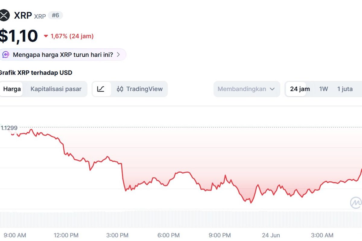 Harga XRP Hari Ini 24 Juni 2026, Tak Lekas Pulih Terus Merosot