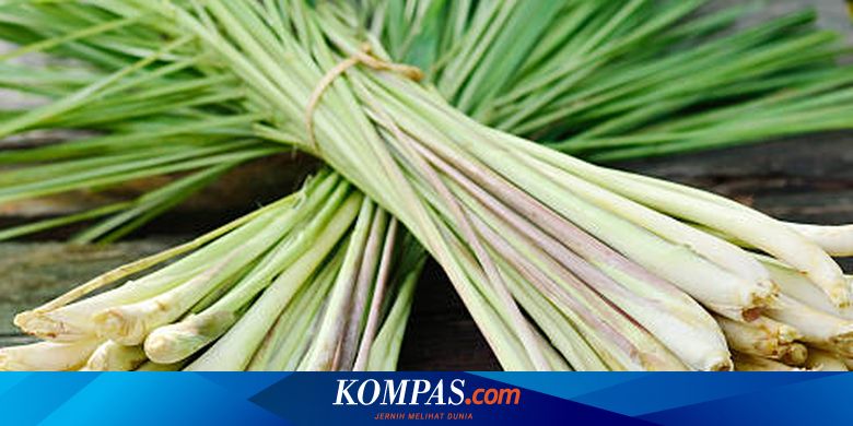 Daun Serai Mengandung Apa? Berikut Daftar Nutrisinya...