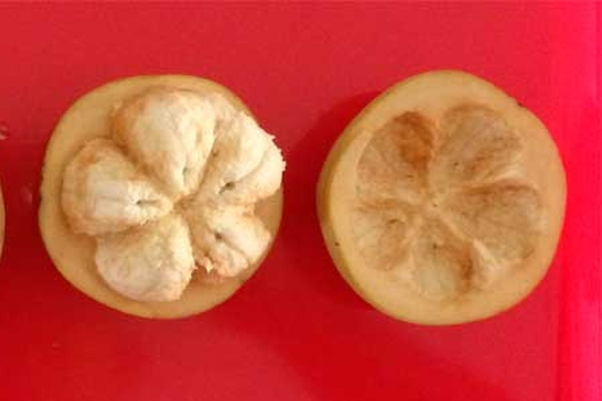 8 Nama Buah Khas Kalimantan, dari Kapul hingga Teretung