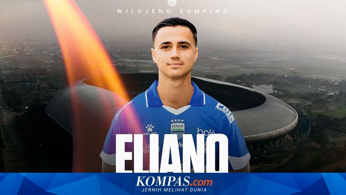 Resmi, Persib Datangkan Eliano Reijnders dari PEC Zwolle