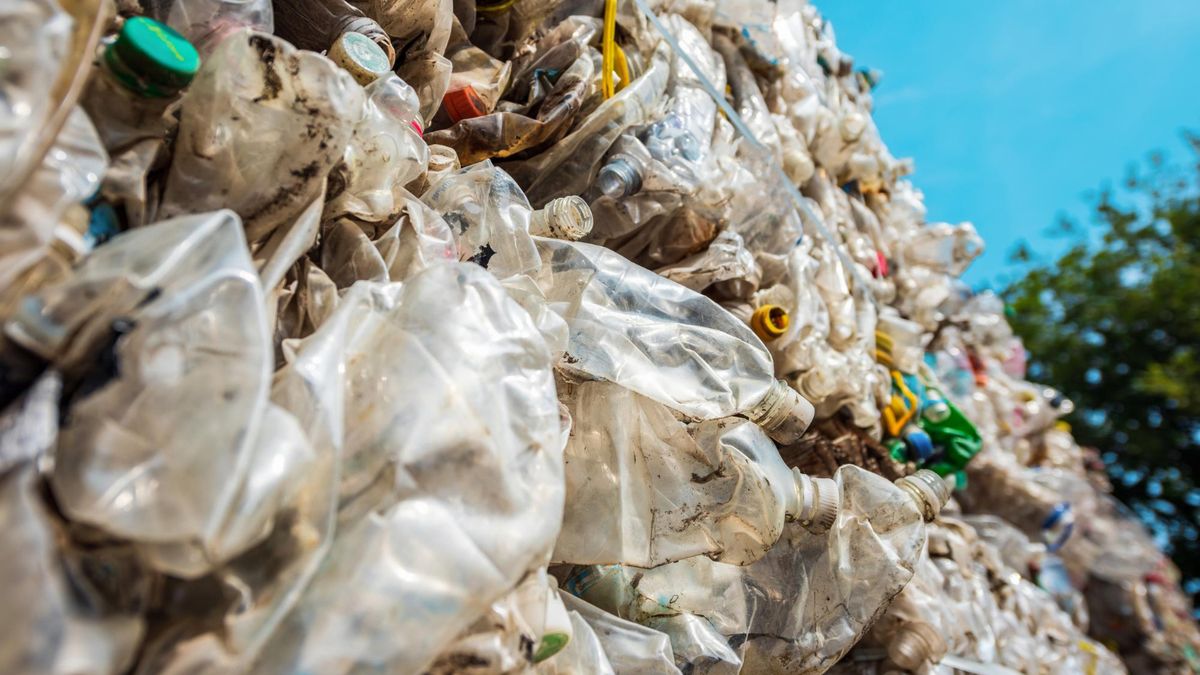 Polusi Plastik Mulai Cemari Hutan Dunia