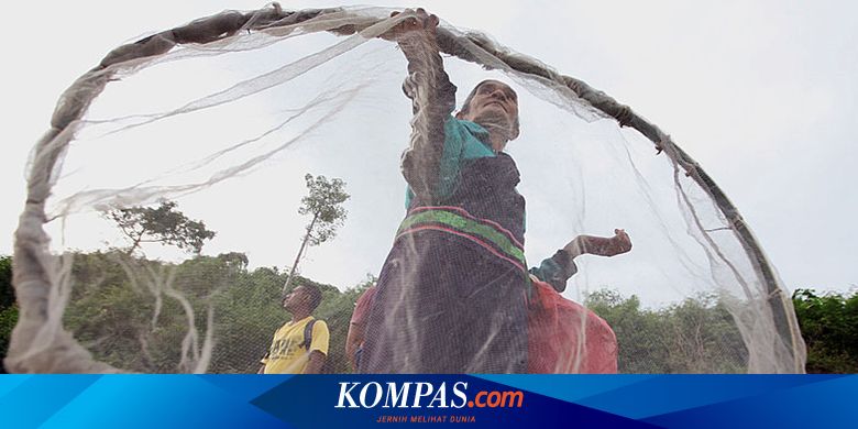 5 Budaya Khas NTT, Ada Daging Asap Khas Rote