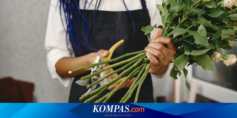 Tips Memotong Bunga Mawar