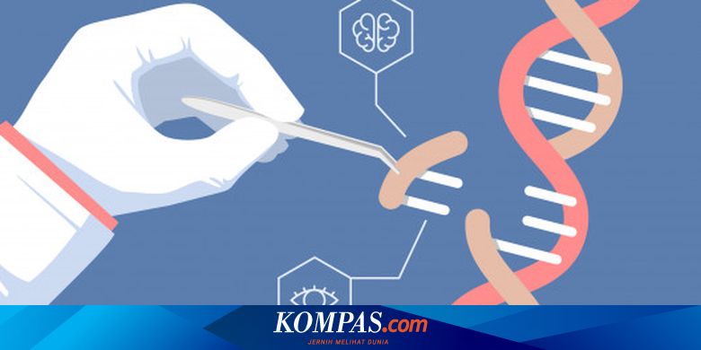 Mengenal Varian Gen dan Efeknya pada Tubuh