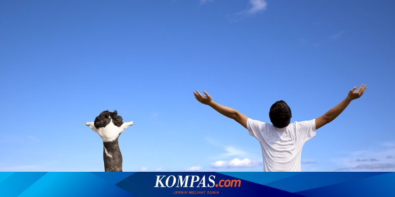Ini Sebabnya Orang-Orang Optimis Lebih Panjang Umur