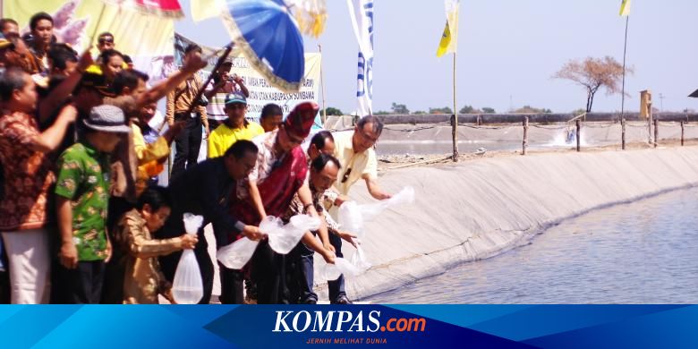 Genjot Perikanan NTB, Pemerintah Gelontorkan Rp 21,9 Miliar