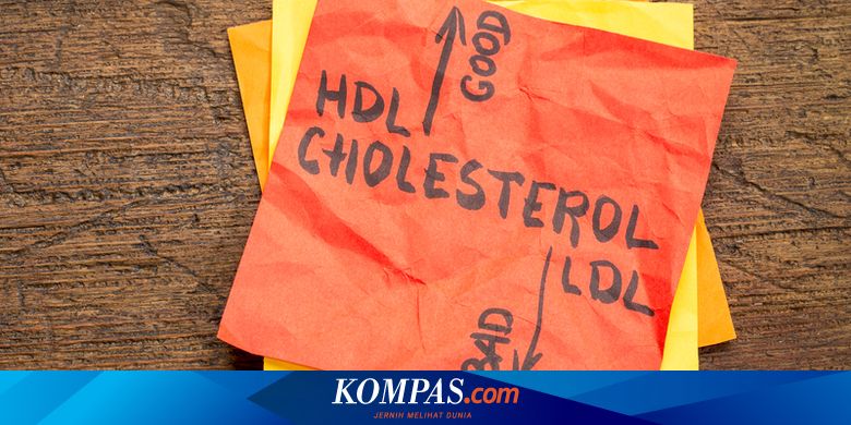 Memahami Beda Kolesterol LDL dan HDL