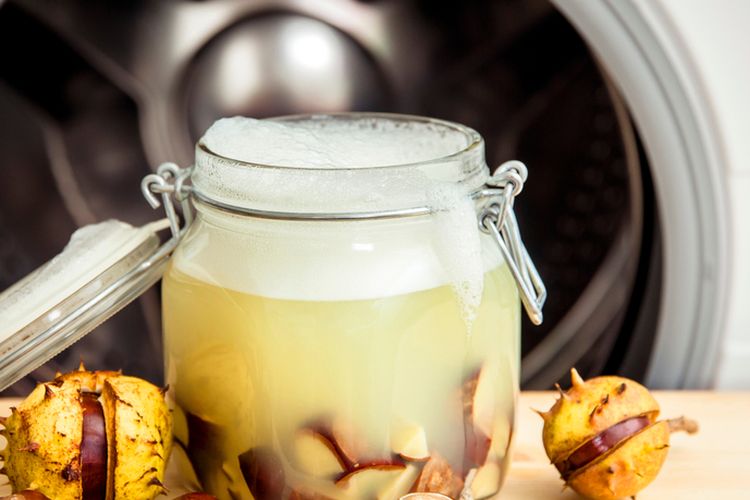 Cara Pakai Lerak untuk Cuci Piring, Pakaian, hingga Basmi Nyamuk