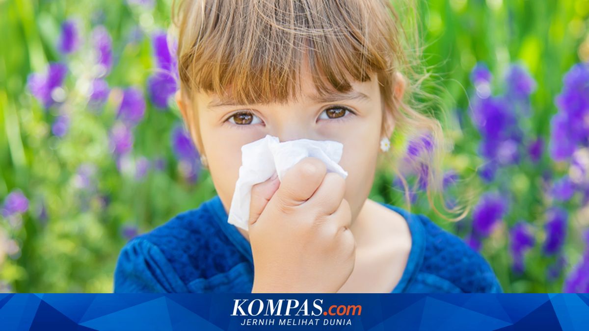 Kenapa Tubuh Alergi Debu dan Dingin? Begini Penjelasan Medis Dosen IPB