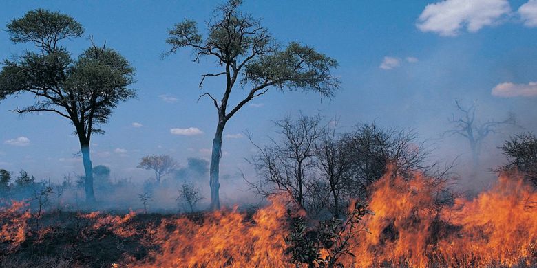 This Year's Extreme Weather Consistent with Worsening Climate Change