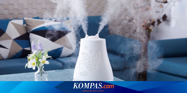 Humidifier Vs Dehumidifier, Apa Saja Perbedaan dan Cara Memakainya?