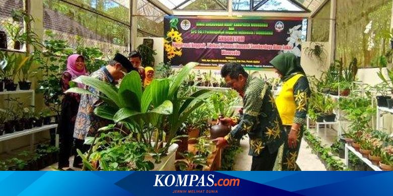 Arboretum Kalianget Wonosobo: Aktivitas dan Tiket Masuk