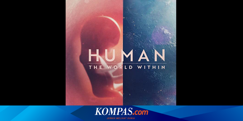 Sinopsis Human: The World Within, Menguak Keajaiban dalam Tubuh Manusia ...