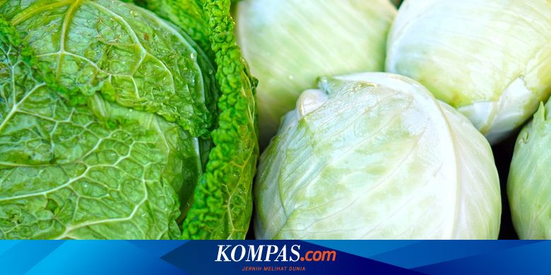 Perbedaan Kubis Dan Kol: Ini Dia | KelasInspirasi.com