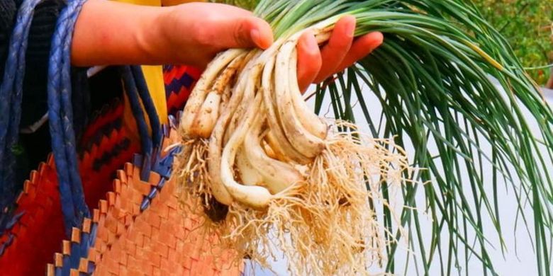 Berita Terkini Harian Lokio Terbaru Hari Ini - Kompas.com