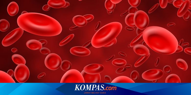 Kenali Apa Itu Hb Rendah, Penyebab, dan Gejalanya