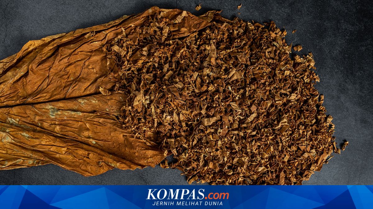 Kenali Apa Itu Nikotin dan Efek Sampingnya