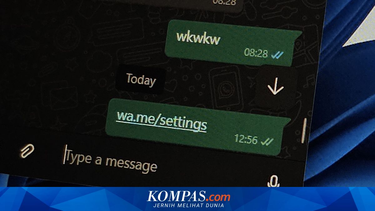 Chat "WA Me Settings" Bikin WhatsApp Crash, Ini Penjelasan Teknisnya