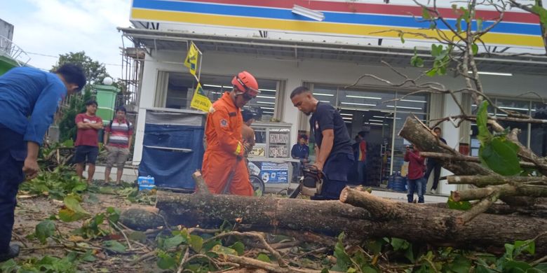 Berita Harian Mobil Dan Motor Tertimpa Pohon Tumbang Terbaru Hari Ini ...